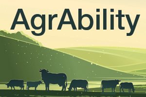 Services | Center for Excellence in Disabilities